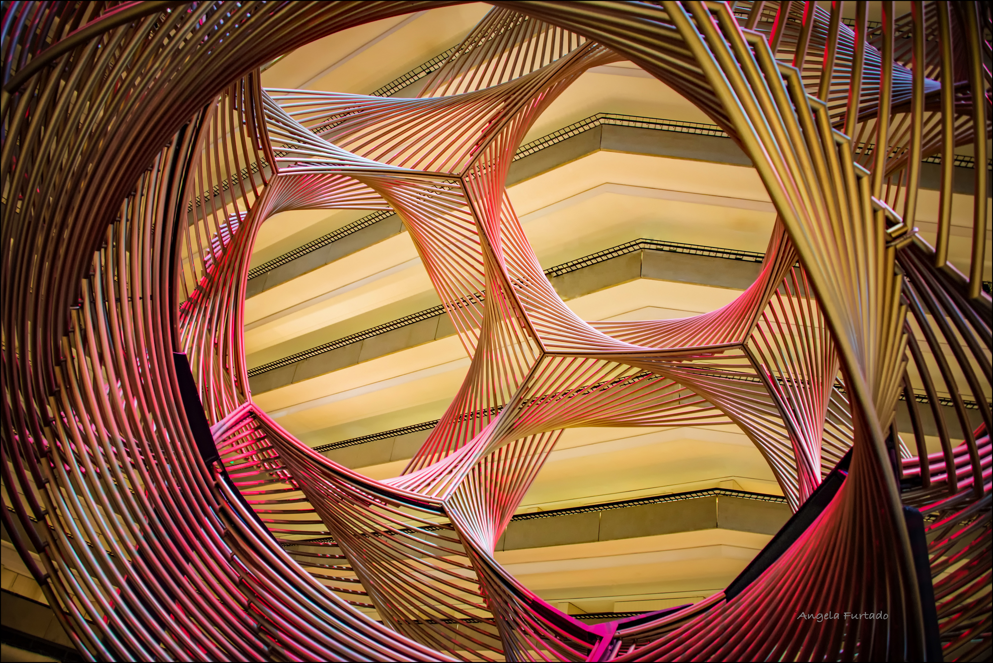 140/365 – Seeing Through Art | Shoot 'N Go